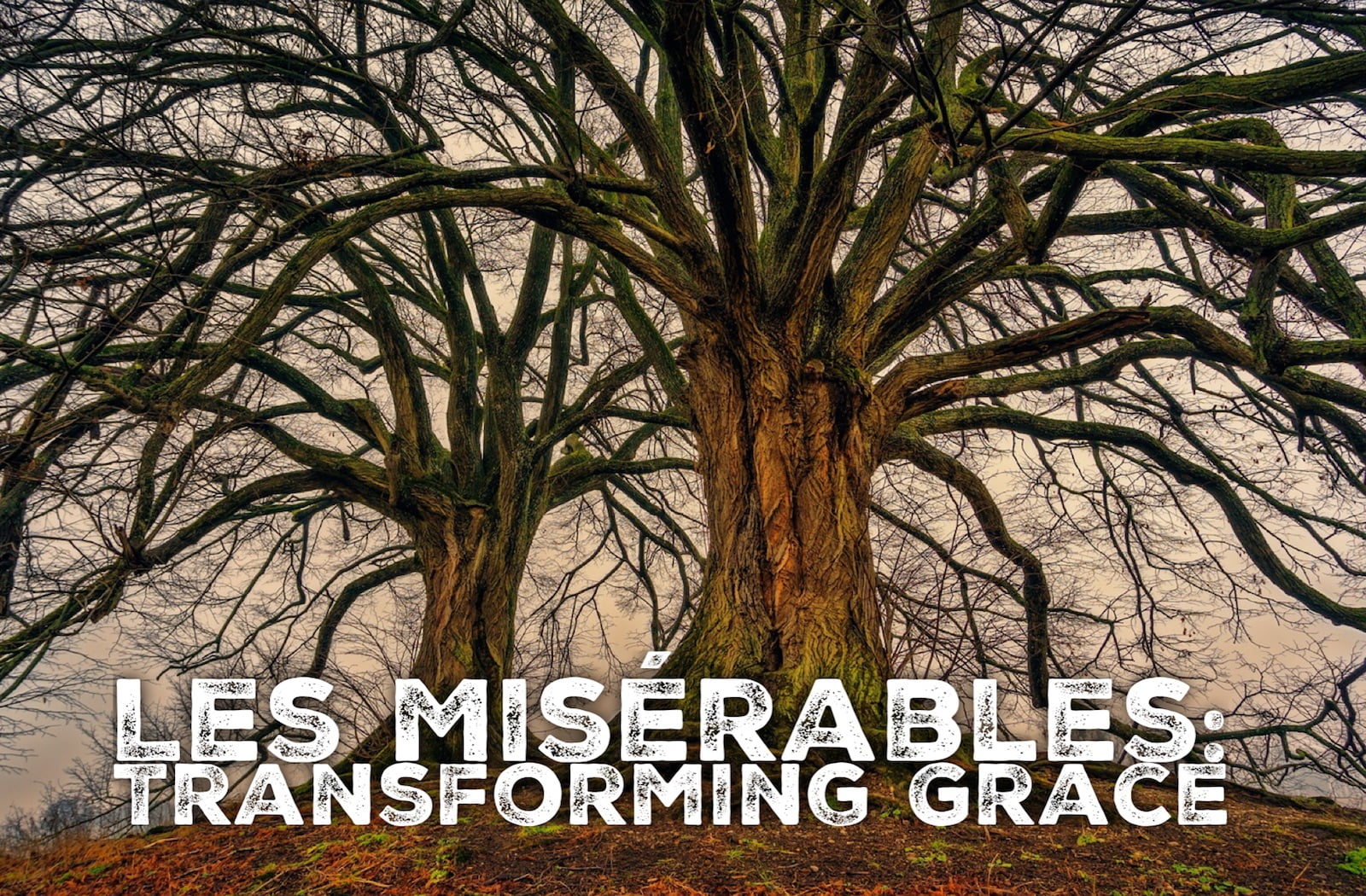 Transforming Grace - Pacific Beach United Methodist Church - PB UMC - PBUMC