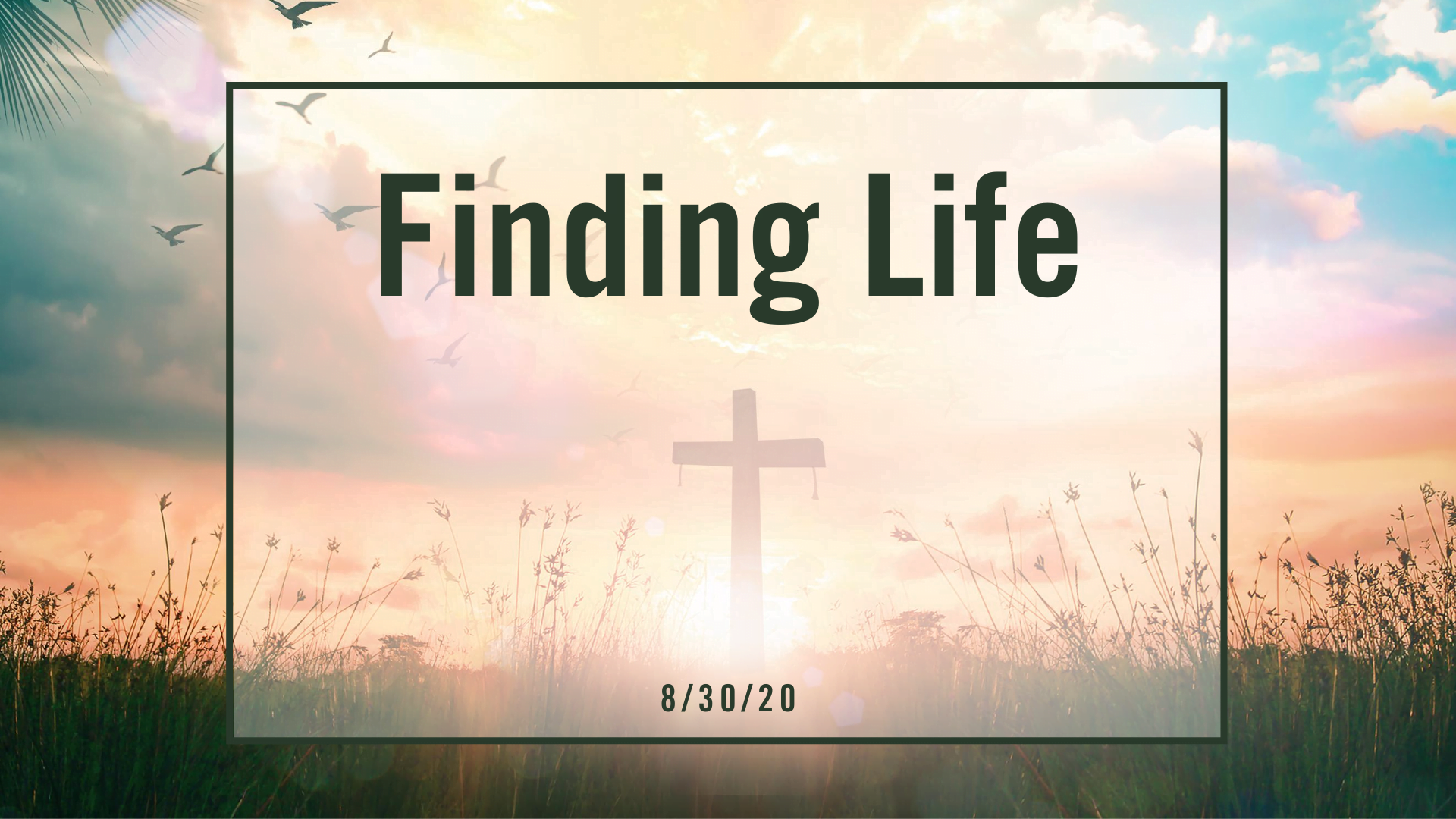Finding Life - Pacific Beach United Methodist Church