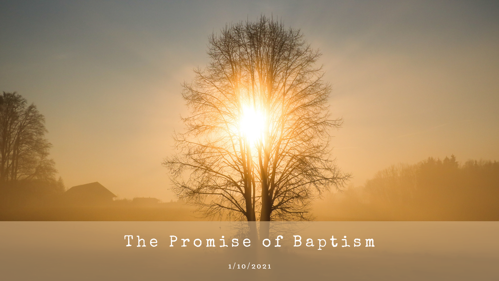 The Promise of Baptism - Pacific Beach United Methodist Church