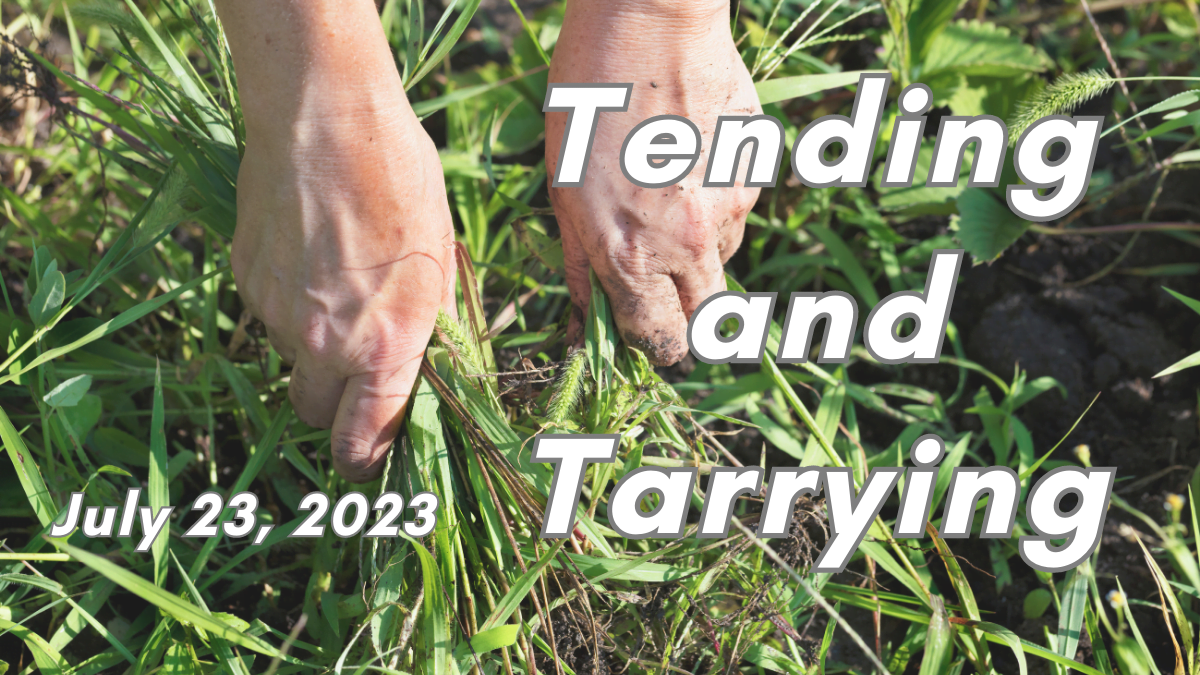 Tending and Tarrying - Pacific Beach United Methodist Church