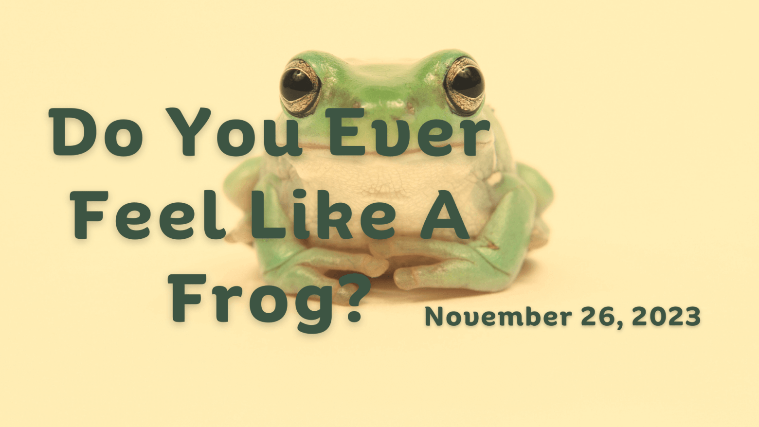 Do You Ever Feel Like A Frog? - Pacific Beach United Methodist Church