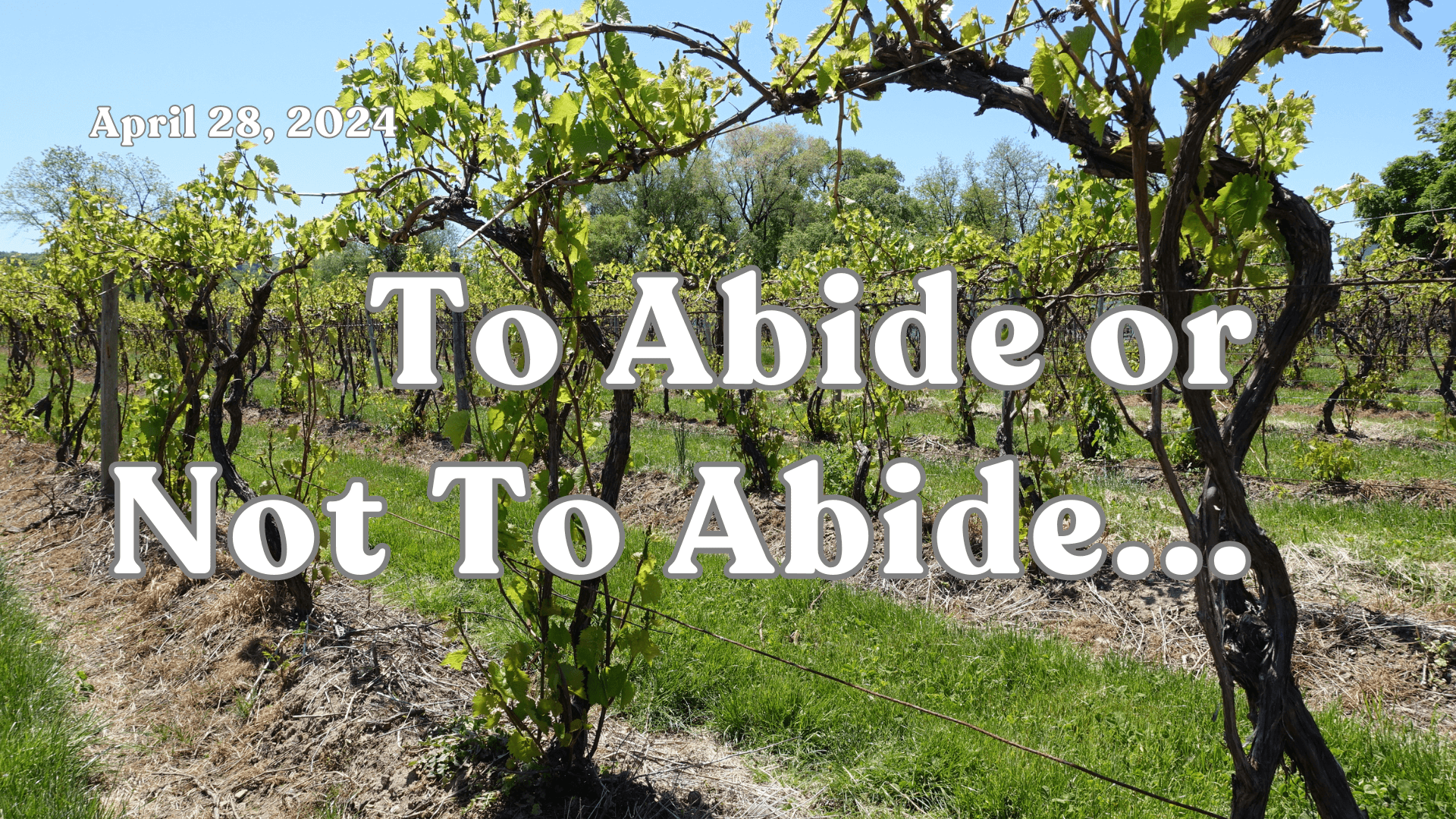To Abide or Not To Abide... - Pacific Beach United Methodist Church